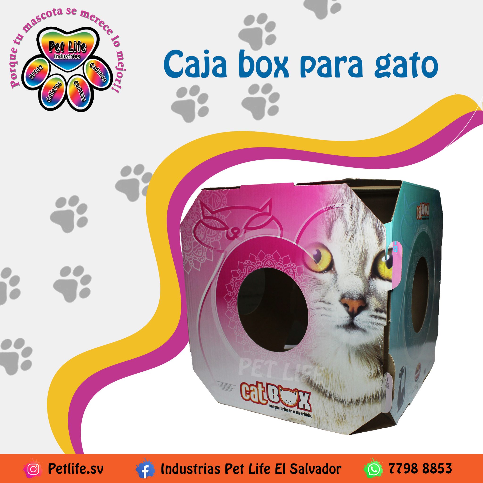 Caja box para gato – Pet Life El Salvador